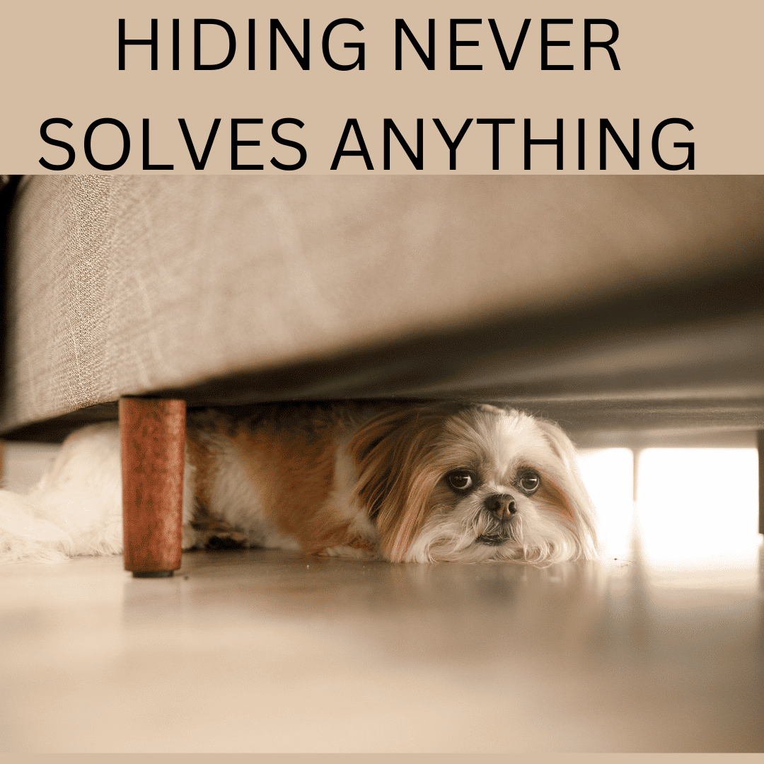 HIDING NEVER SOLVES ANYTHING